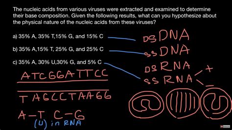 How To Find If Virus Genome Rna Or Dna Single Or Double Stranded Youtube