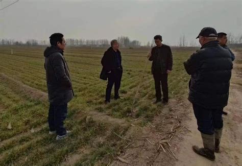 山东国资资讯：智科农服基层农技人员深入田间一线 为农户提供“保姆式”服务 山东种业集团有限公司