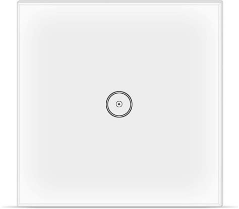 The G Man Speaks Tasmota Wall Light Switch