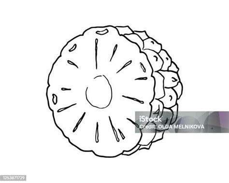 흰색 배경에 고립 된 파인애플의 절반의 윤곽 손으로 그린 벡터 일러스트레이션 파인애플에 대한 스톡 벡터 아트 및 기타 이미지 파인애플 벡터 건강한 생활방식 Istock
