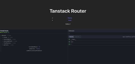 Tanstack Router 前端小枫