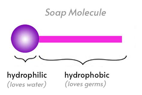Soap Molecule
