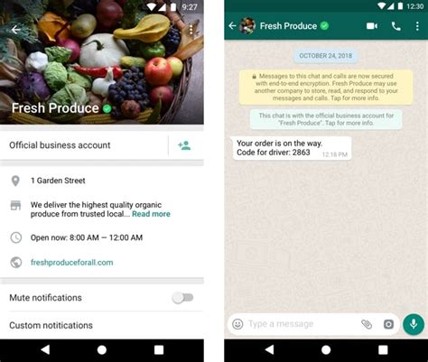 Panduan Cara Membuat WhatsApp Chatbot Lengkap Dan Mudah