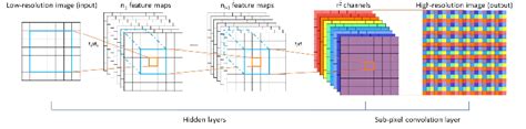 Convolutional Neural Network Structure After Network Pruning Download Scientific Diagram