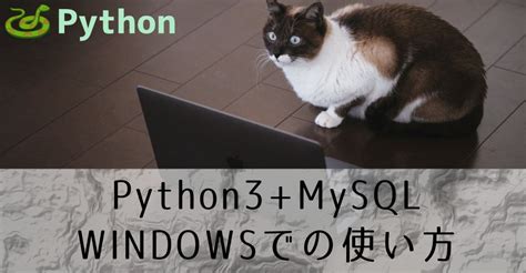 Python3mysqlのwindowsでの使い方。unicodeエラー・日本語文字化け対策。 Kodocode