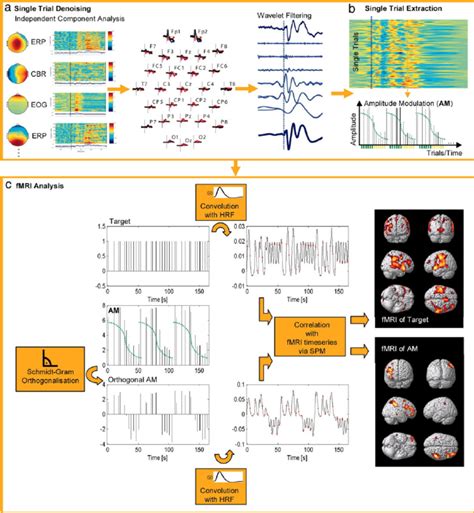 Flowchart Of Glm Based Spm Analysis Using As Regressors Single Trial Download Scientific