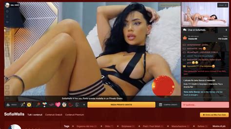 The Best Way To Start A Successful Adult Webcam