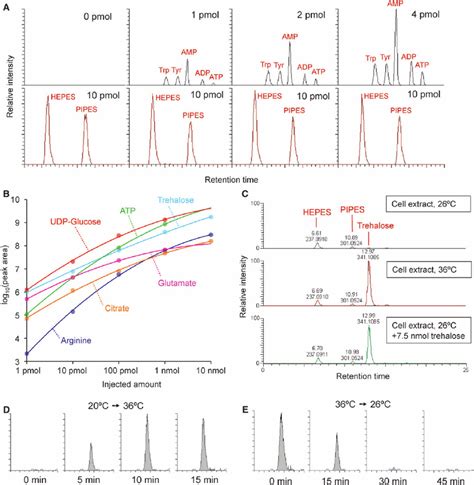 Quantification Of Compounds By Lc Ms Using Pure Standards A Four Download Scientific Diagram