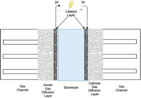 Schematic Representation Of Pemfc [5] Download Scientific Diagram