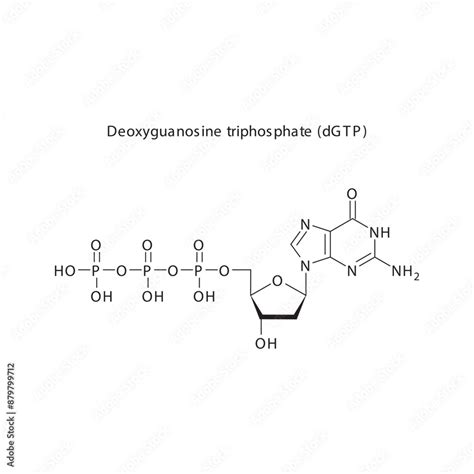 Deoxyguanosine Triphosphate Dgtp Skeletal Structure Schematic Illustration Nucleoside