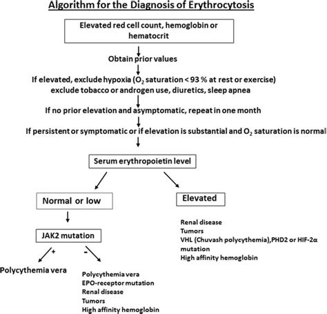 Algorithm For The Diagnosis Of Erythrocytosis Download Scientific