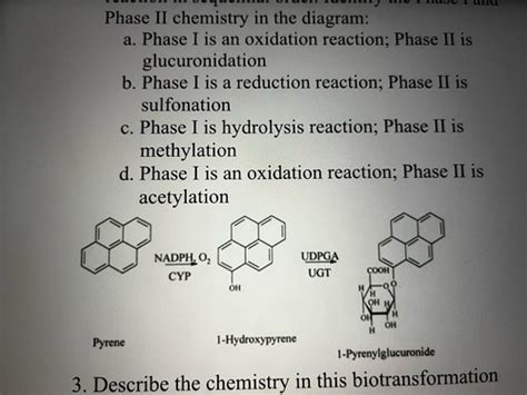 Toxicology Final 2 Flashcards Quizlet