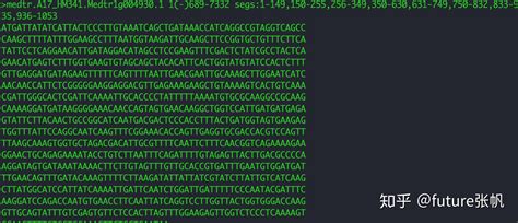 利用MCscanX分析Ka Ks数据 包含错误更正 知乎