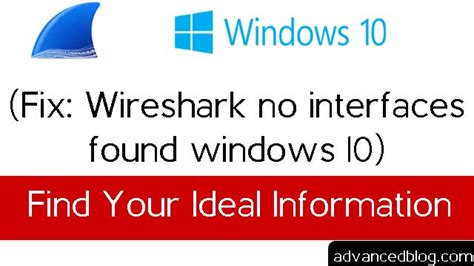 fix wireshark no interfaces found windows error explained
