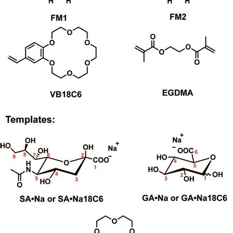 Structures Of Functional Monomers And Templates With Corresponding Download Scientific Diagram