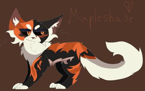 Mapleshade Artims By Sxnnyskiies On Deviantart Mapleshade Artims By Sxnnyskiies On Deviantart