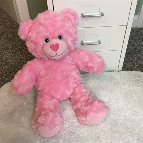 Zoey Adorable Pink Teddy Bear Plush Toy