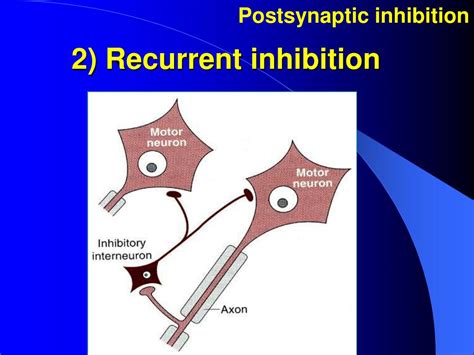 Ppt Chapter 30 Powerpoint Presentation Free Download Id5600835
