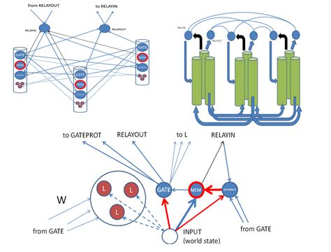 The Arni X Spiking Neural Network Simulator