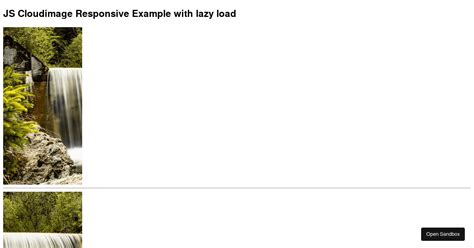 Js Cloudimage Responsive Example Codesandbox
