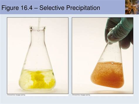 Ppt Chapter 16 Precipitation Equilibria Powerpoint Presentation Free Download Id5979567