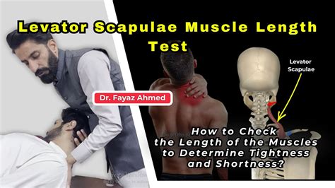 How To Check The Length Of The Levator Scapulae Muscle Physiotherapy Assessment Tutorial