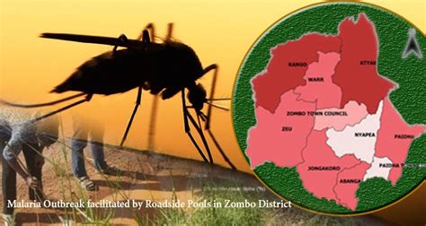 Malaria Outbreak Facilitated By Roadside Pools In Zombo District Uganda January June 2019