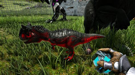 My First Color Mutation On An Allo R ARK