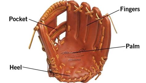 12 Best Youth Baseball Gloves For This Season Dugout Debate