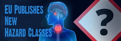 Eu Adds New Clp Classes For Endocrine And Pbt Substances Hibiscus Plc