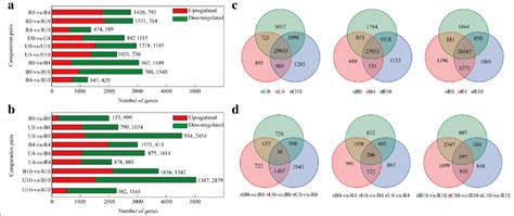 Differentially Expressed Genes Deg Identified By Rna Seq Analysis In Download Scientific