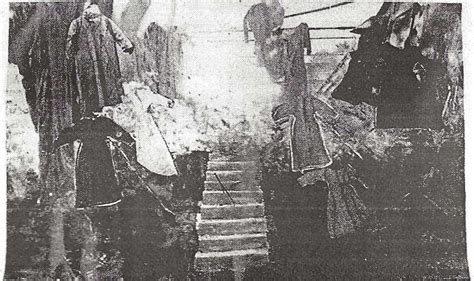 Terminal Escape Hex Noir