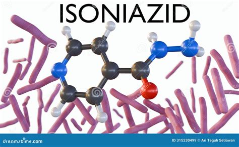 Isoniazid Antibiotic Molecules And Mycobacterium Tuberculosis Stock Illustration Illustration