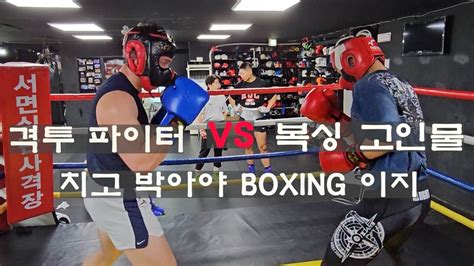 치고 박아야 Boxing 이지 복싱 고인물 Vs 격투 파이터 Boxing 복싱 권투 스파링 챔피언 유산소운동 맨몸운동 복싱다이어트 복싱스파링 제이나인