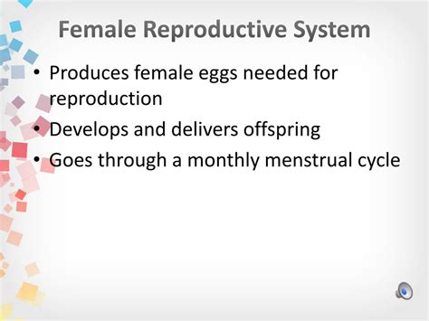 Ppt Endocrinereproductive System Powerpoint Presentation Free