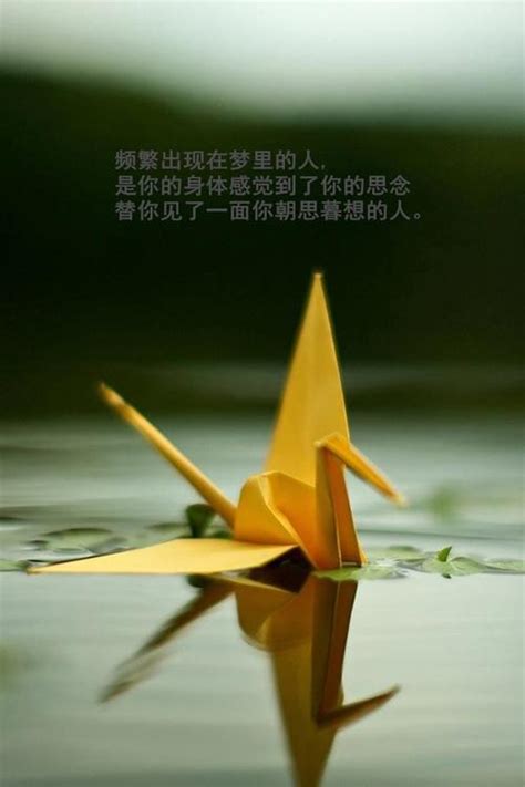 春晓古诗配图简单又好看 春晓的古诗配图图片 配图网