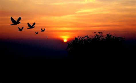 Minimalist Sunset Wallpapers Wallpaper Cave