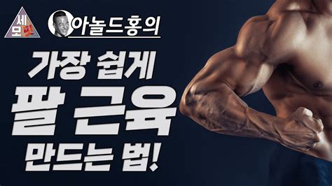 두 가지 동작이면 됩니다 팔 근력 키우는 법 세모핏 70ㅣ 팔운동 팔근육 이두근 운동 삼두근 운동 근육 부자 되는법 이두근 이두근 운동 삼두근 운동