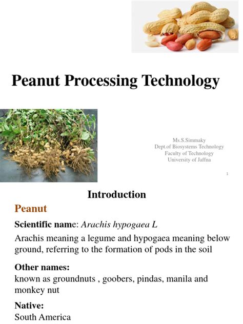 Peanut Processing Pdf Peanuts Peanut Butter