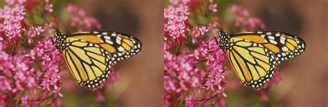 GitHub PaddlePaddle PaddleGAN PaddlePaddle GAN Library Including Lots Of Interesting