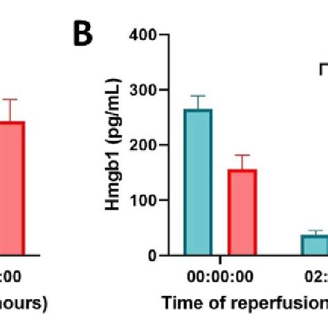 Expression Of Apoptosis Related Marker Active Caspase 3 And Download Scientific Diagram