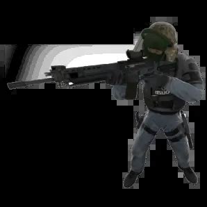 CS GO Server Hosting Tempest Hosting