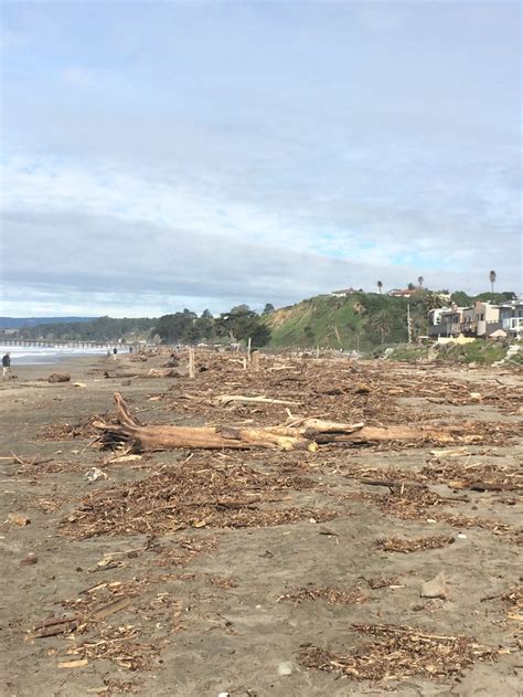 March Hidden Beach Aptos California