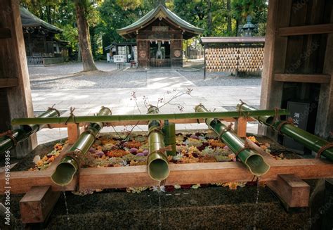 滋賀県多賀大社の手水舎と神馬舎が見える境内風景 Stock Foto Adobe Stock