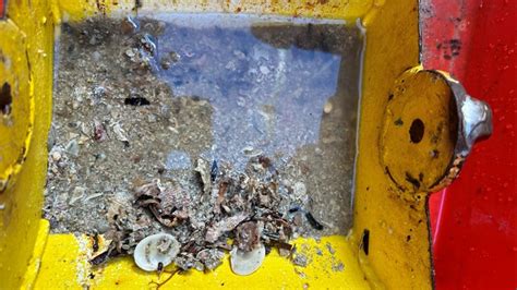 Benthic Habitat Survey In Gulf St Vincent Pirsa