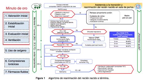 Recomendaciones para la reanimación neonatal Resumen de varias guías
