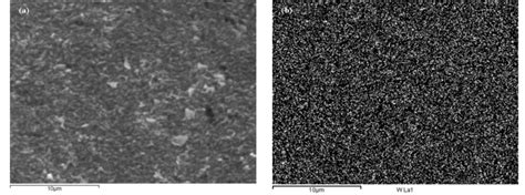 Sem Edx Investigation Of Ninano Wc Nanocomposite Layer A Sem