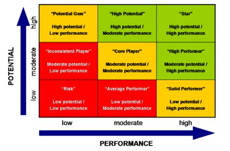 What Is The 9 Box Model Expert Tips For Performance Management