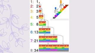 Fibonacci Numbers Pptx