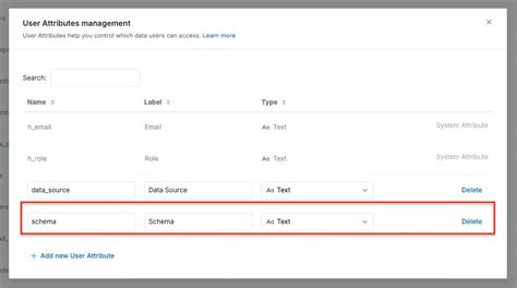 Dynamic Data Sources And Schemas For Embedded Analytics Holistics Docs